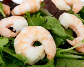 AccueilHomeStartseiteInicio - Amand-Bianic